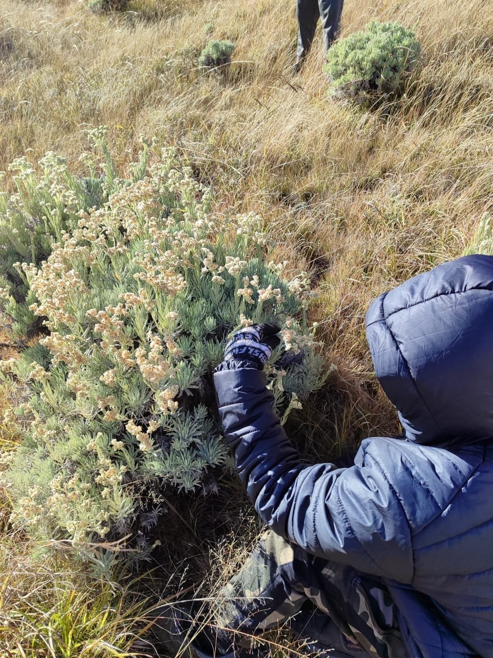 Rizki Awning - Jasa Pembuatan Kanopi Terbaik